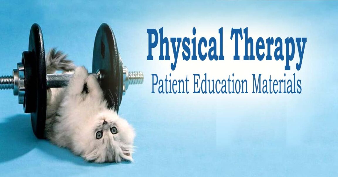 Physical Therapy Patient Education Materials | Now discover