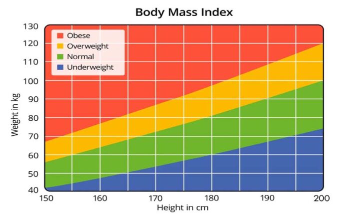 Obesity’s causes, BMI chart and treatment options